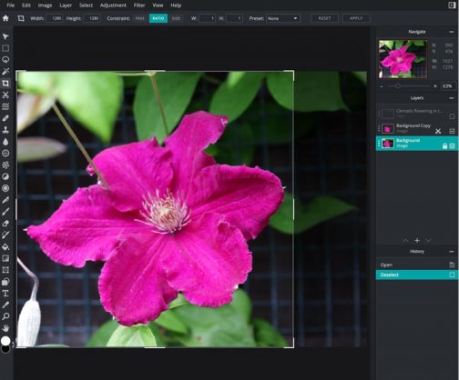 Here's How to Use Pixlr E to Edit Photos Free | LouiseM