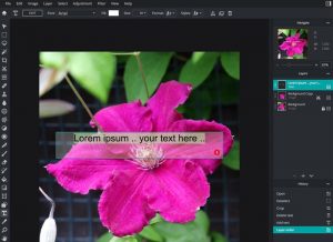 Here's How to Use Pixlr E to Edit Photos Free | LouiseM