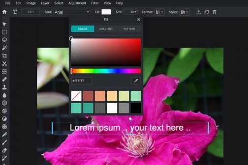 Here's How to Use Pixlr E to Edit Photos Free | LouiseM