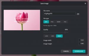 Here's How to Use Pixlr E to Edit Photos Free | LouiseM