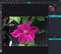 Here's How to Use Pixlr E to Edit Photos Free | LouiseM