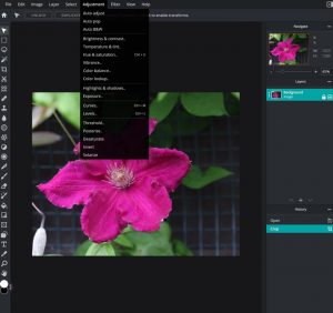 Here's How to Use Pixlr E to Edit Photos Free | LouiseM