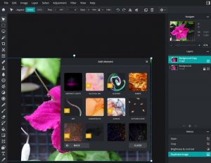 Here's How to Use Pixlr E to Edit Photos Free | LouiseM