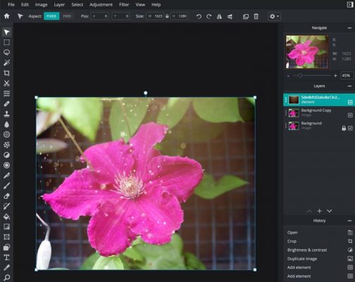Here's How to Use Pixlr E to Edit Photos Free | LouiseM
