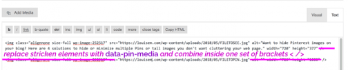 How To Hide Pinterest Images on Your Blog: Approved!