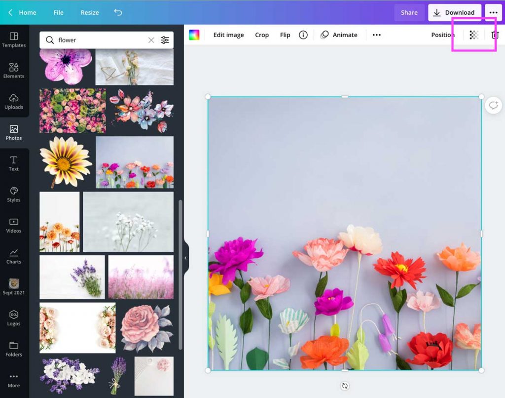 How to Make Background Transparent in Canva: Fast & Easy! | LouiseM