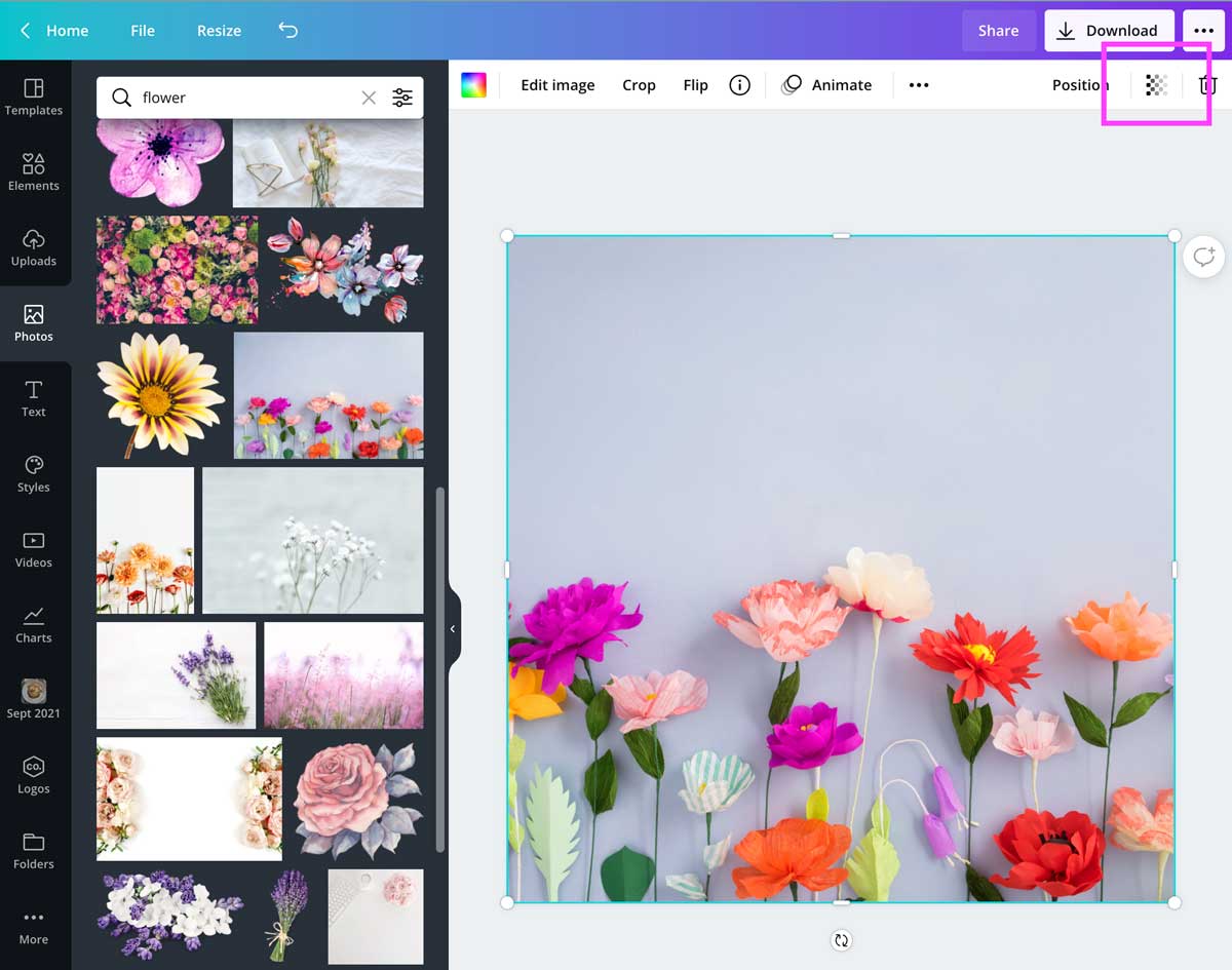 How To Make Background Transparent In Canva Fast Easy LaptrinhX News