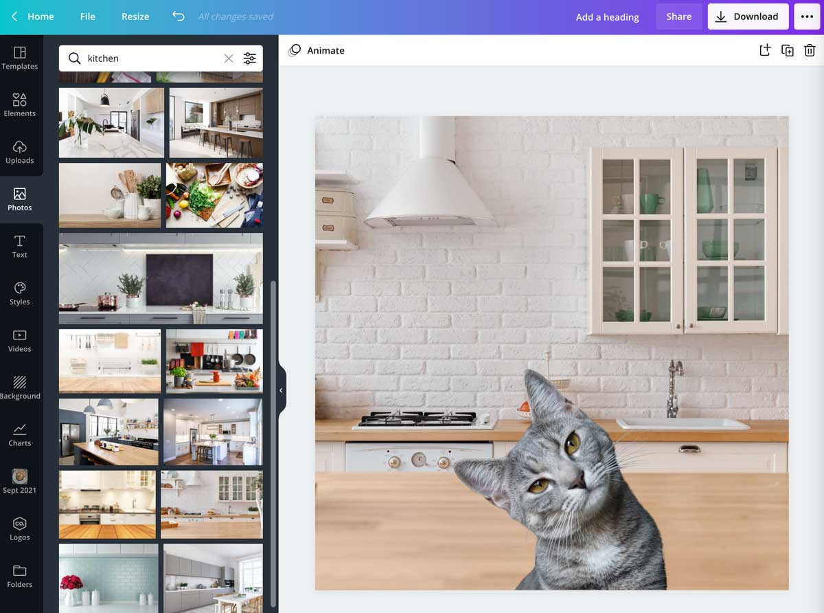 How to Make Background Transparent in Canva: Fast & Easy! | LouiseM