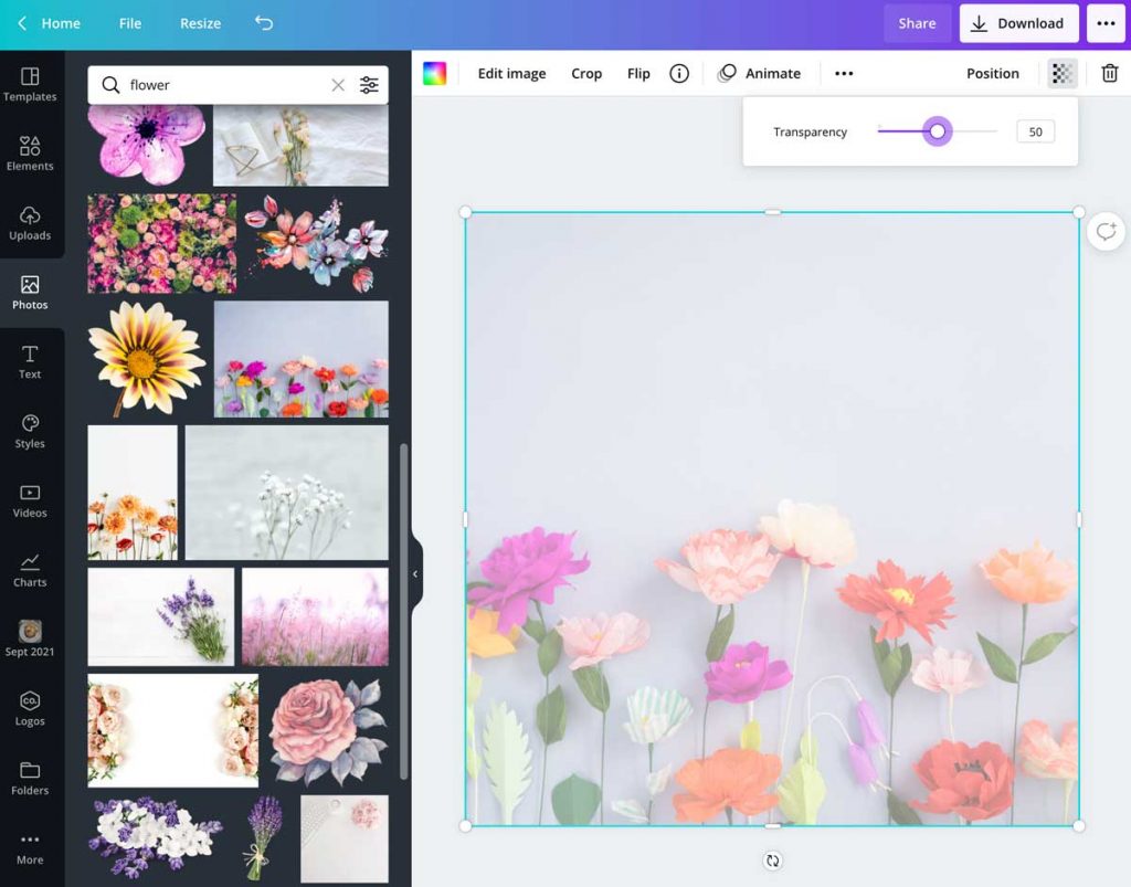 How to Make Background Transparent in Canva: Fast & Easy! | LouiseM