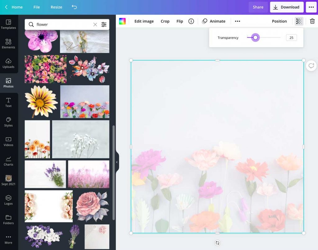 How to Make Background Transparent in Canva: Fast & Easy! | LouiseM