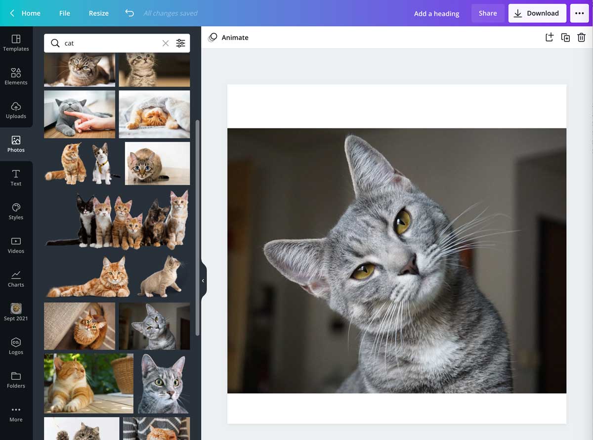 How to Make Background Transparent in Canva: Fast & Easy! | LouiseM