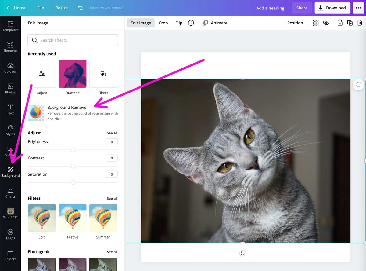 How to Make Background Transparent in Canva: Fast & Easy! | LouiseM