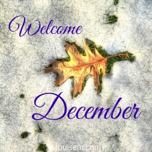 65 December Quotes to Delight the Whole Month Through | LouiseM