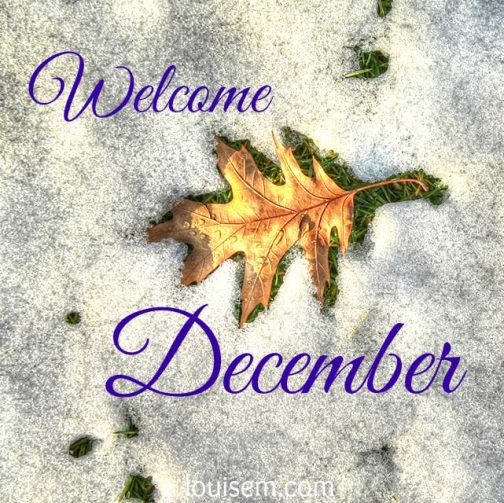 65 December Quotes to Delight the Whole Month Through | LouiseM