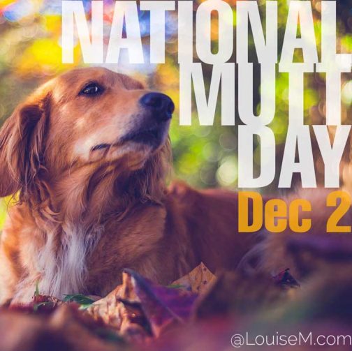 250 Fun December Holidays to Celebrate on Social Media (2022) | LouiseM
