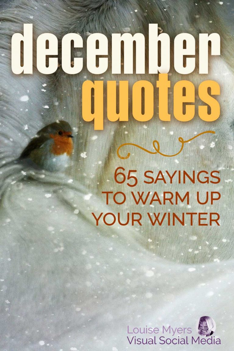 65 December Quotes to Delight the Whole Month Through | LouiseM