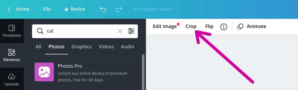 How to Crop in Canva for Picture Perfect Results | LouiseM