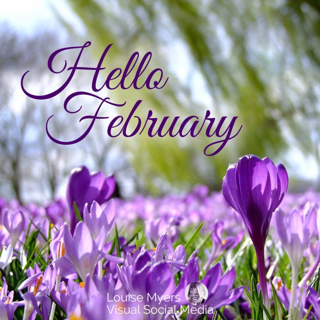 308 February Holidays You'll Love to Share on Social Media (2023) | LouiseM