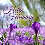85 February Quotes to Add Fun and Love to Your Month | LouiseM