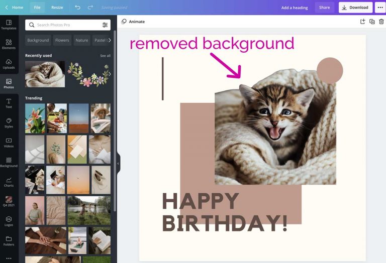 How to Crop in Canva for Picture Perfect Results | LouiseM