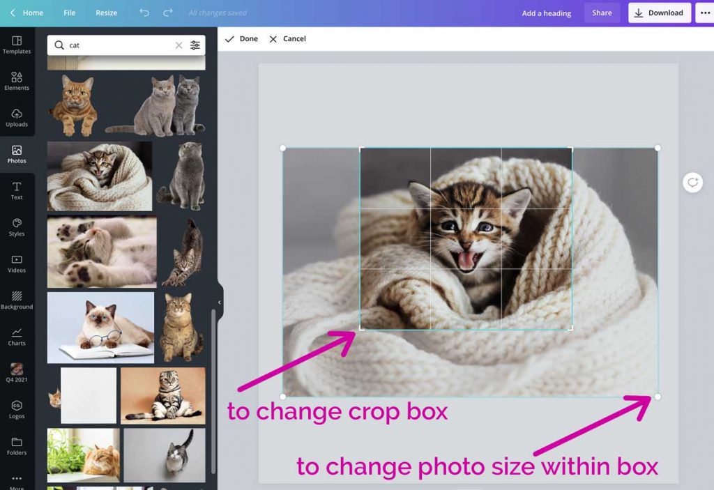 How to Crop in Canva for Picture Perfect Results | LouiseM