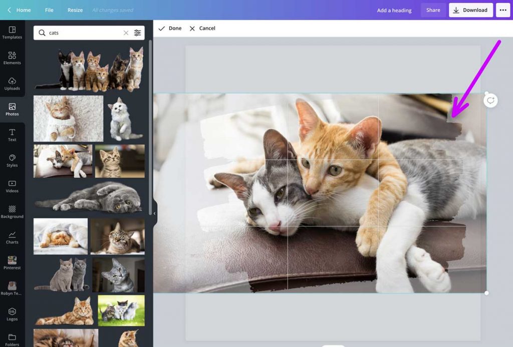 How to Use Frames in Canva for a Unique Look You'll Love | LouiseM
