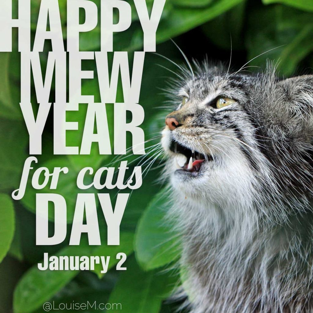 330 January Holidays to Celebrate on Social Media! (2023) | LouiseM