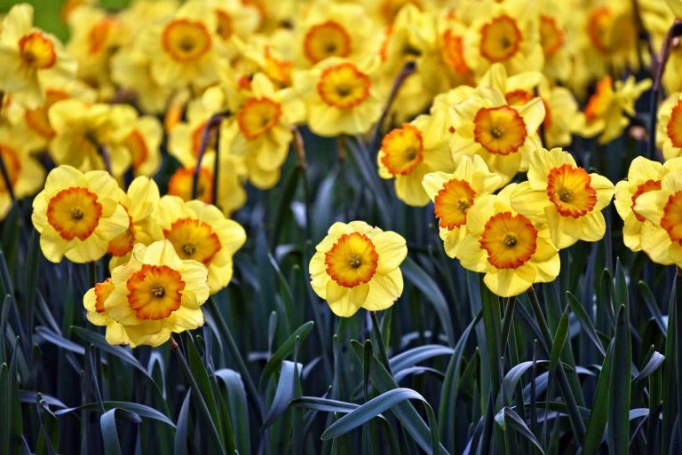 70 Inspiring March Quotes to Welcome a Marvelous Month | LouiseM