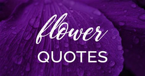 150 Short Flower Quotes to Inspire Your Love of Beauty | LouiseM