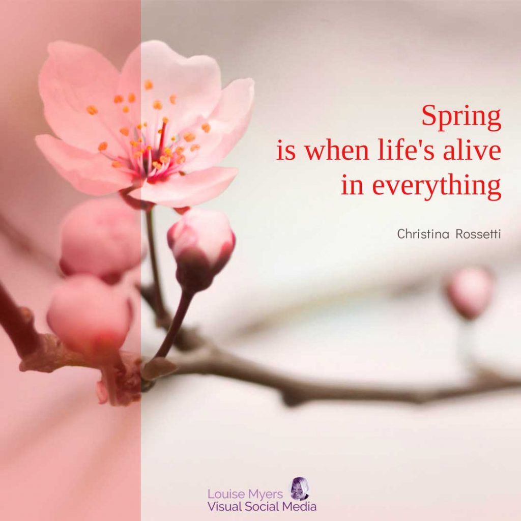 100 Spring Quotes You Need to Inspire Renewal | LouiseM