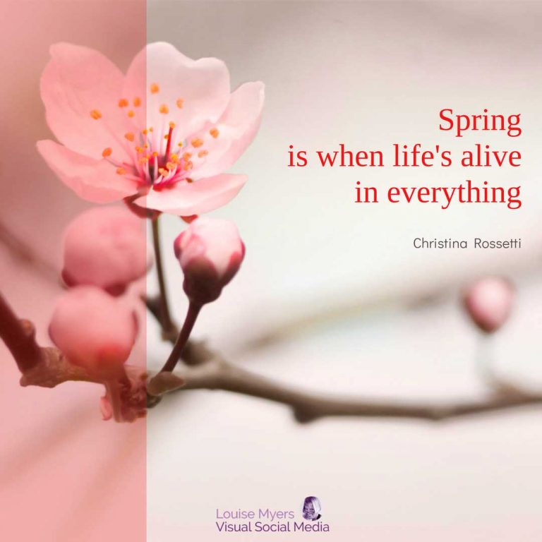 100 Spring Quotes You Need to Inspire Renewal | LouiseM