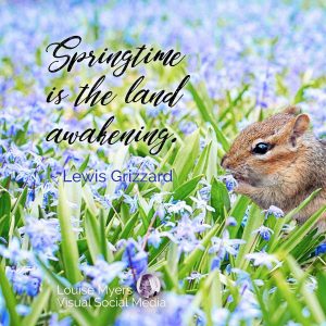 100 Spring Quotes You Need to Inspire Renewal | LouiseM