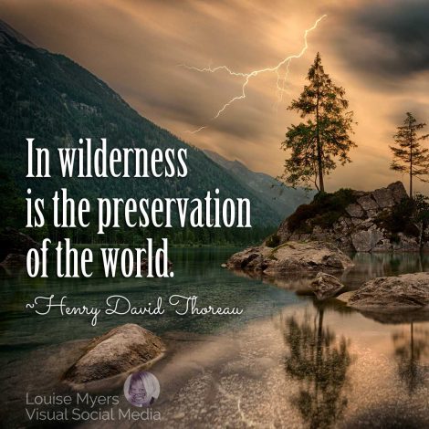 40 Love for Nature Quotes, Perfect for Earth Day, Every Day | LouiseM