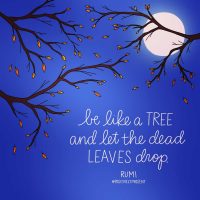 100+ Short Fall Quotes to Inspire an Amazing Autumn | LouiseM