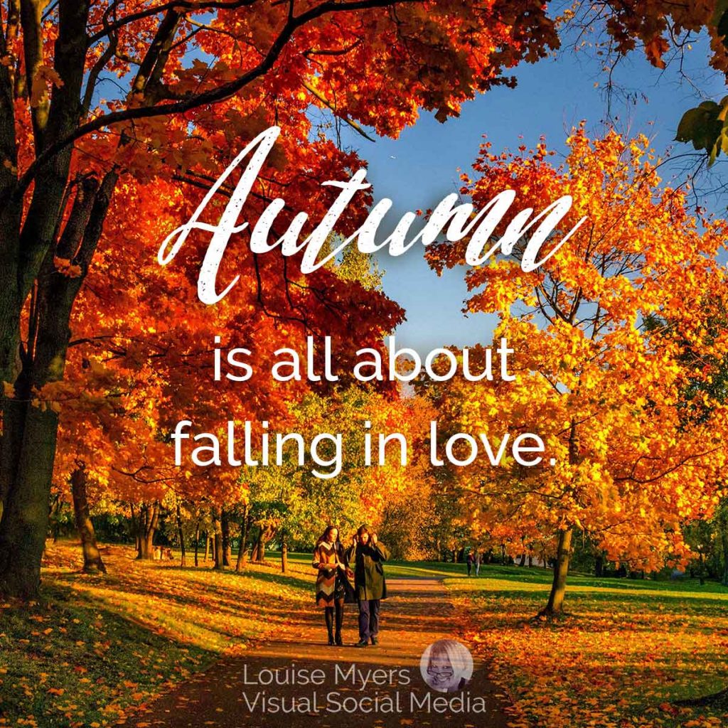 100+ Short Fall Quotes to Inspire an Amazing Autumn | LouiseM
